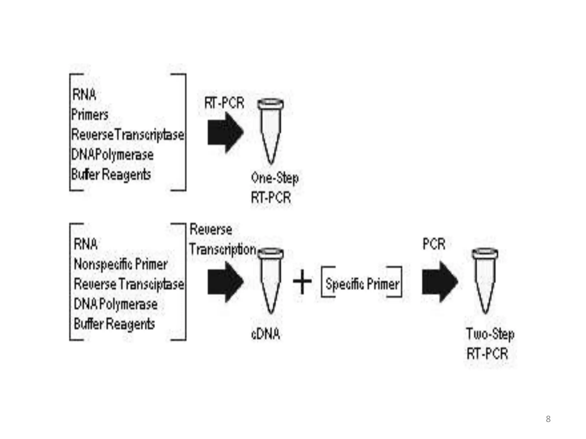 TYPES_OF_PCR.pptx