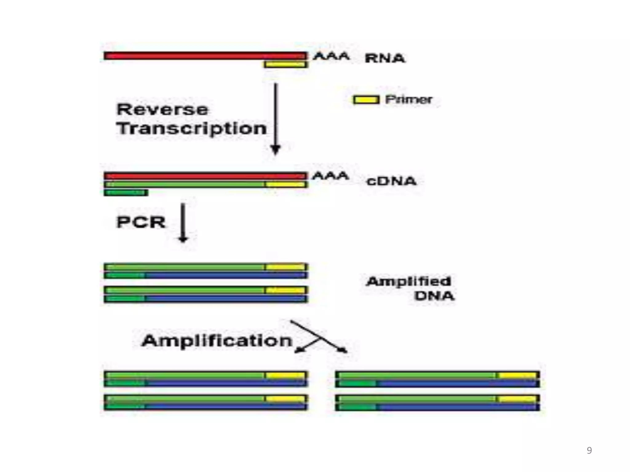 TYPES_OF_PCR.pptx