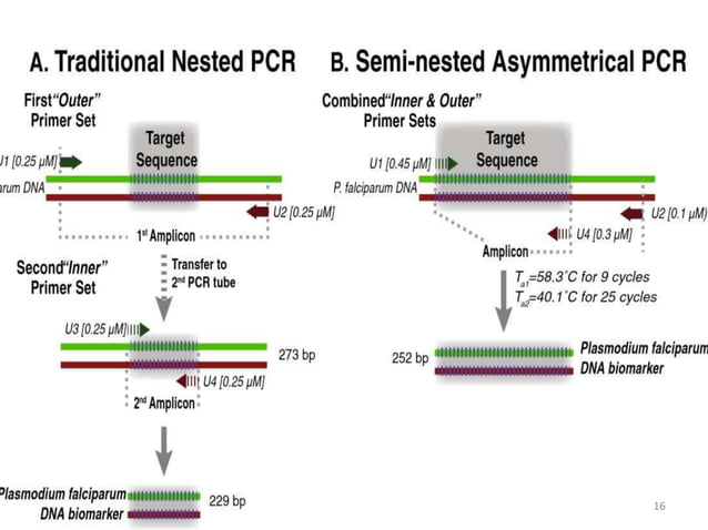 TYPES_OF_PCR.pptx