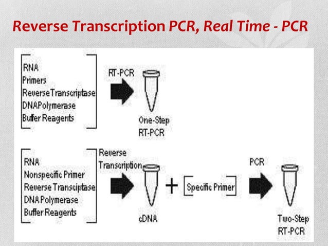 Types of PCR.pptx