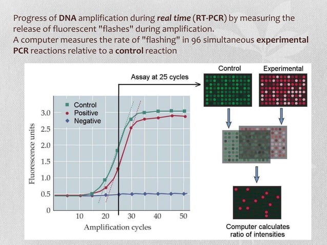 Types of PCR.pptx