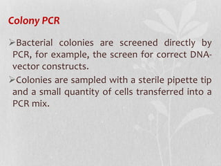 Types of PCR.pptx