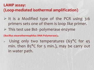Types of PCR.pptx
