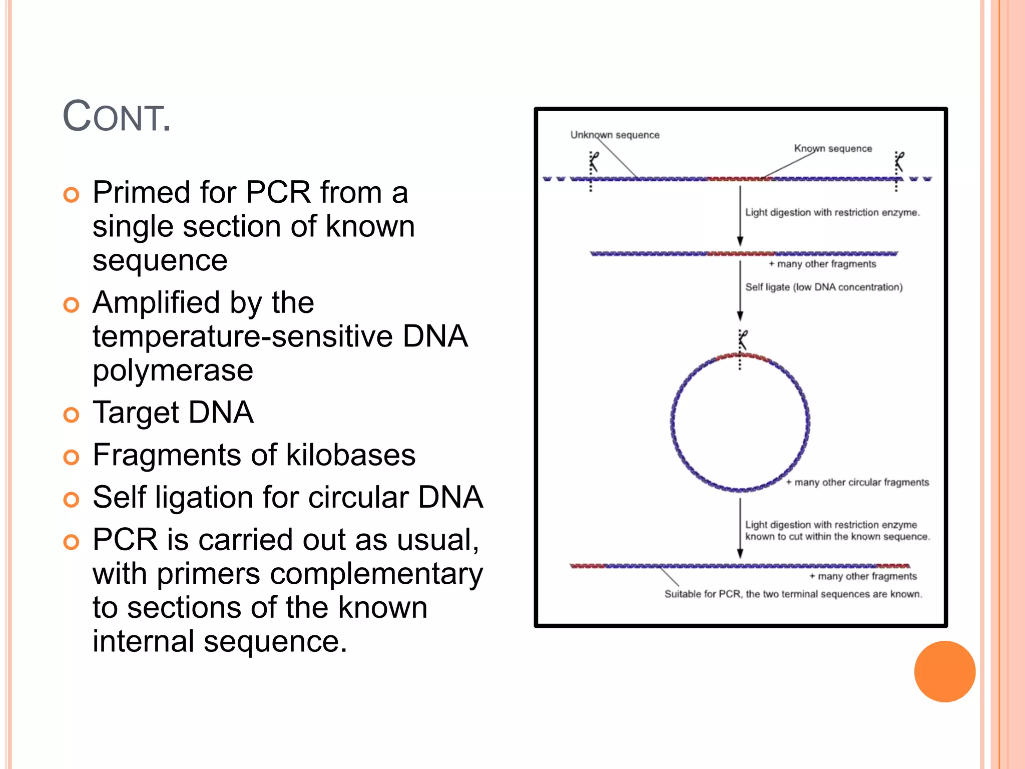 Types of pcr and fluorimeter (1) | PPTX