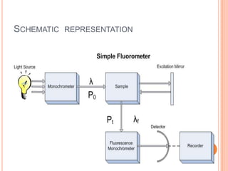 Types of pcr and fluorimeter (1) | PPTX
