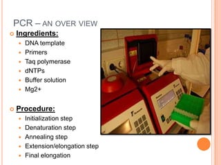 Types of pcr and fluorimeter (1) | PPTX