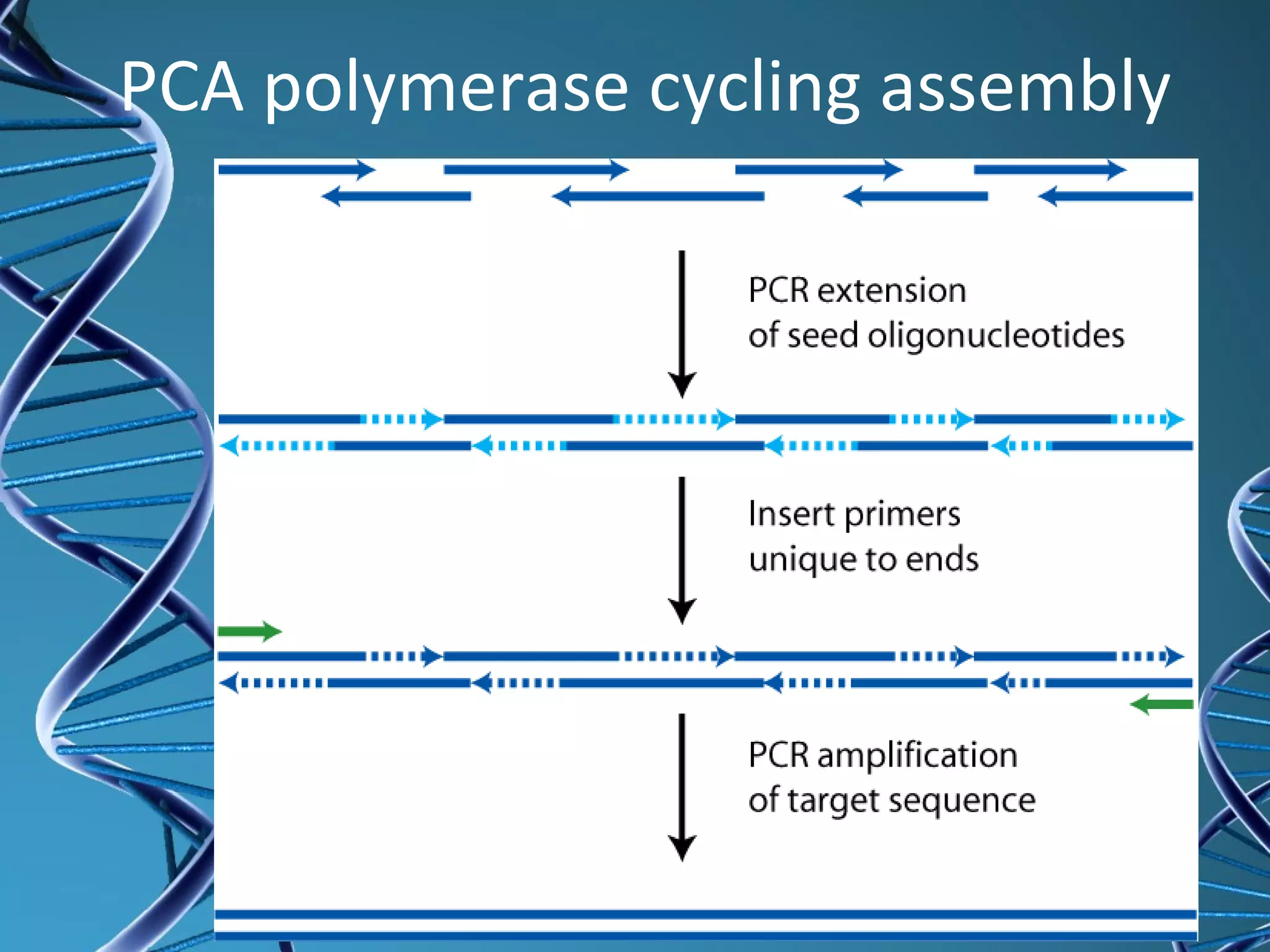 Types of pcr | PPT