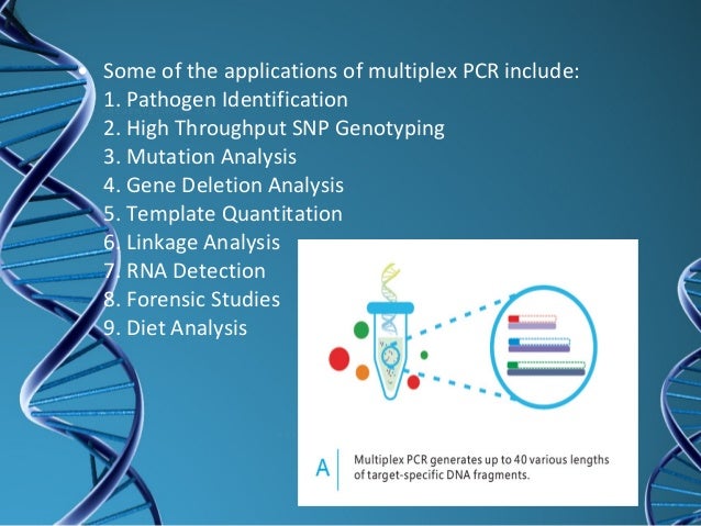 Types of pcr