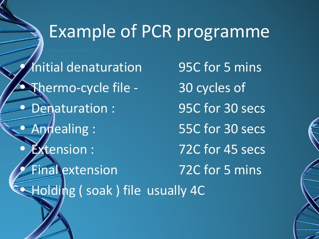 Types of pcr