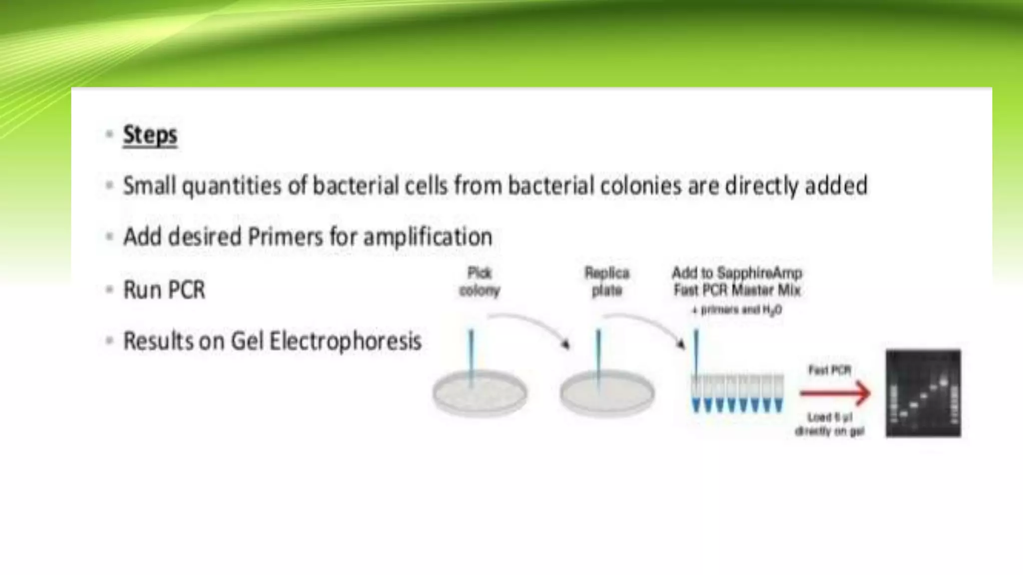 Types of pcr ppt by mala (1) | PPTX