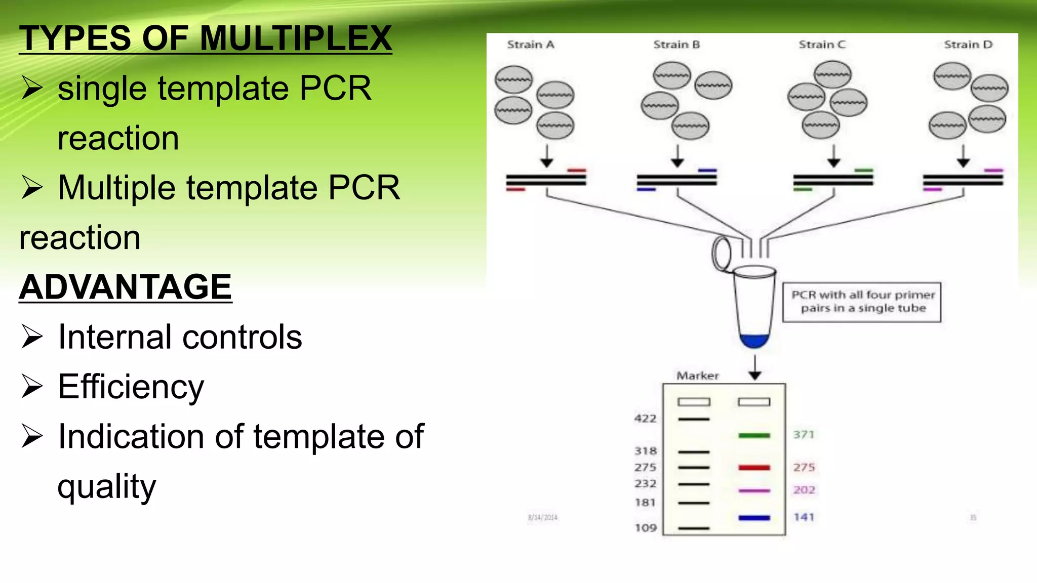 Types of pcr ppt by mala (1) | PPTX