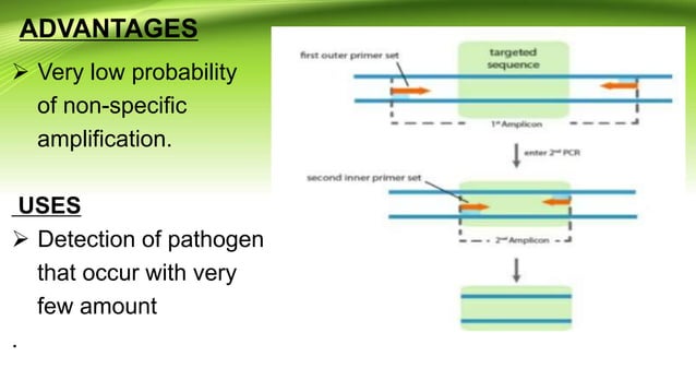 Types of pcr ppt by mala (1) | PPTX | Biological Sciences | Science