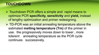 Types of pcr ppt by mala (1) | PPTX