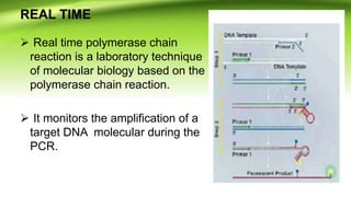 Types of pcr ppt by mala (1) | PPTX