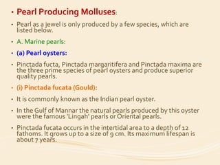Types of pearls.pptx