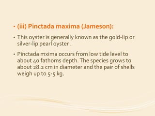 Types of pearls.pptx