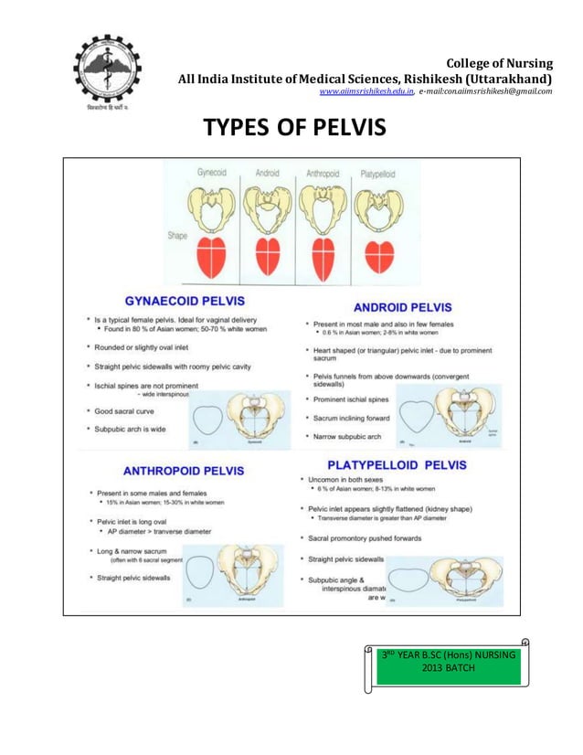 Types of pelvis | DOCX | Pregnancy | Reproductive Health