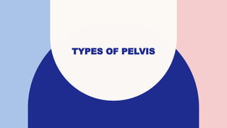 Types of pelvis.pptx 12345678kdkdkdkdkdkkdkd | PPTX