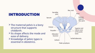 Types of pelvis.pptx 12345678kdkdkdkdkdkkdkd | PPTX