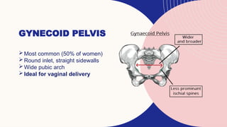 Types of pelvis.pptx 12345678kdkdkdkdkdkkdkd | PPTX