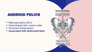 Types of pelvis.pptx 12345678kdkdkdkdkdkkdkd | PPTX
