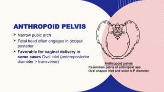 Types of pelvis.pptx 12345678kdkdkdkdkdkkdkd | PPTX