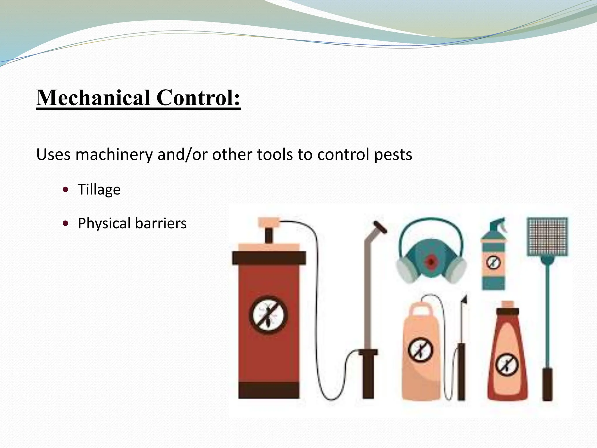 Types of Pest Control.pptx