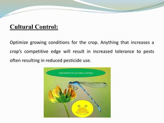 Types of Pest Control.pptx | Agriculture | Industries
