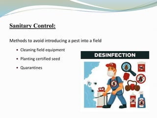 Types of Pest Control.pptx