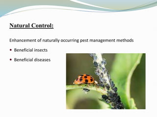 Types of Pest Control.pptx | Agriculture | Industries