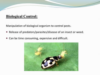 Types of Pest Control.pptx | Agriculture | Industries