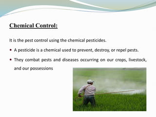 Types of Pest Control.pptx