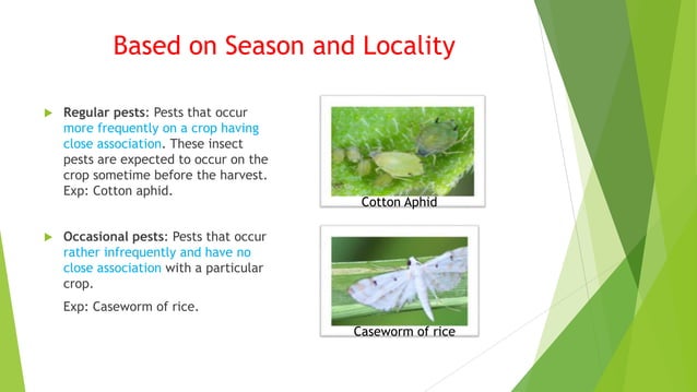types of pests.pptx | Agriculture | Industries