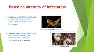 types of pests.pptx