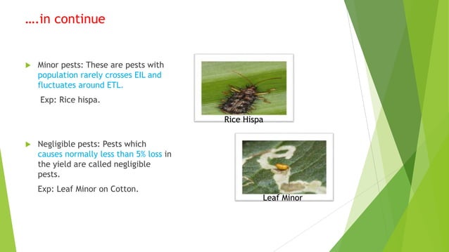 types of pests.pptx | Agriculture | Industries