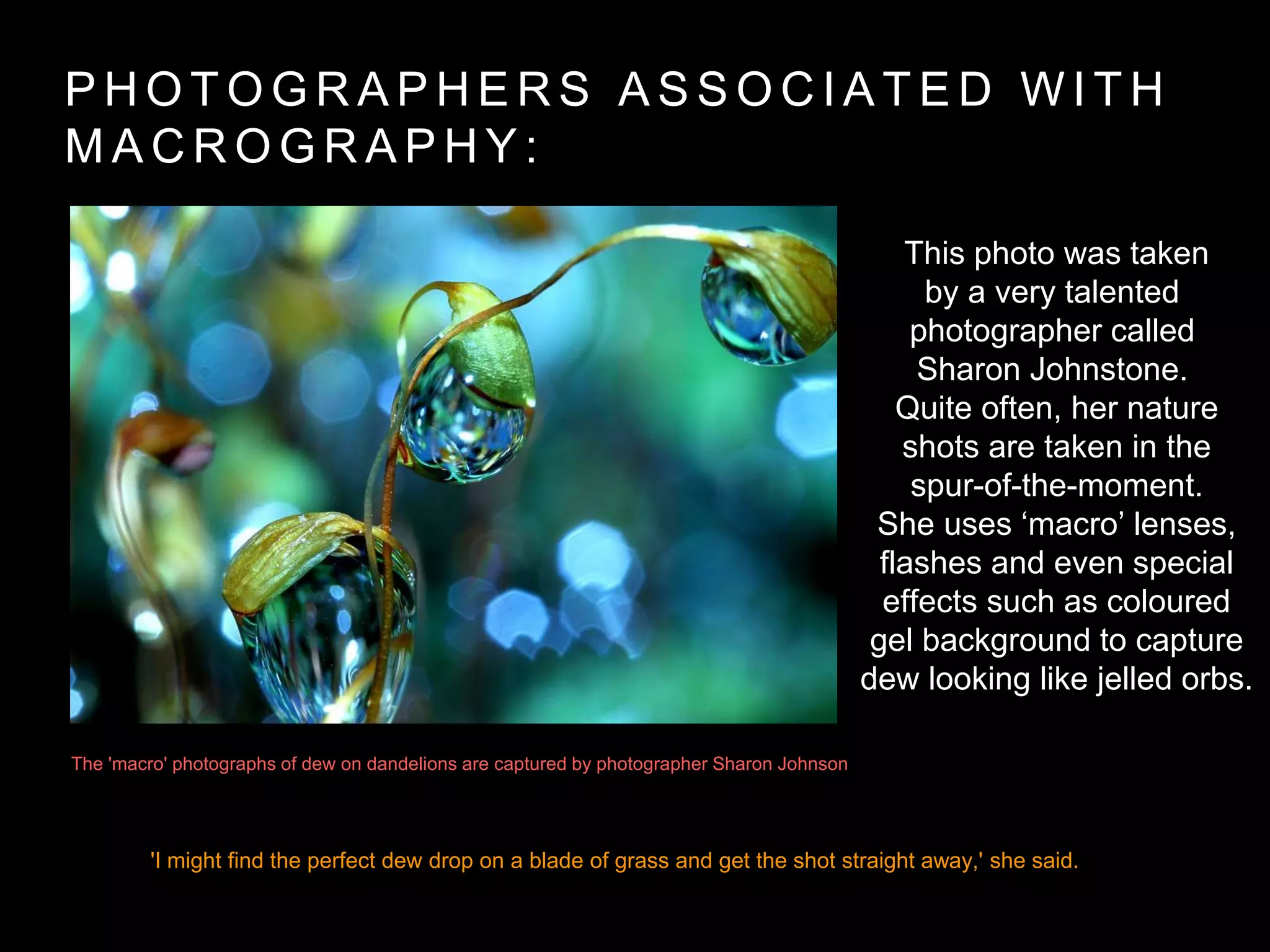 Types of photography | PPTX