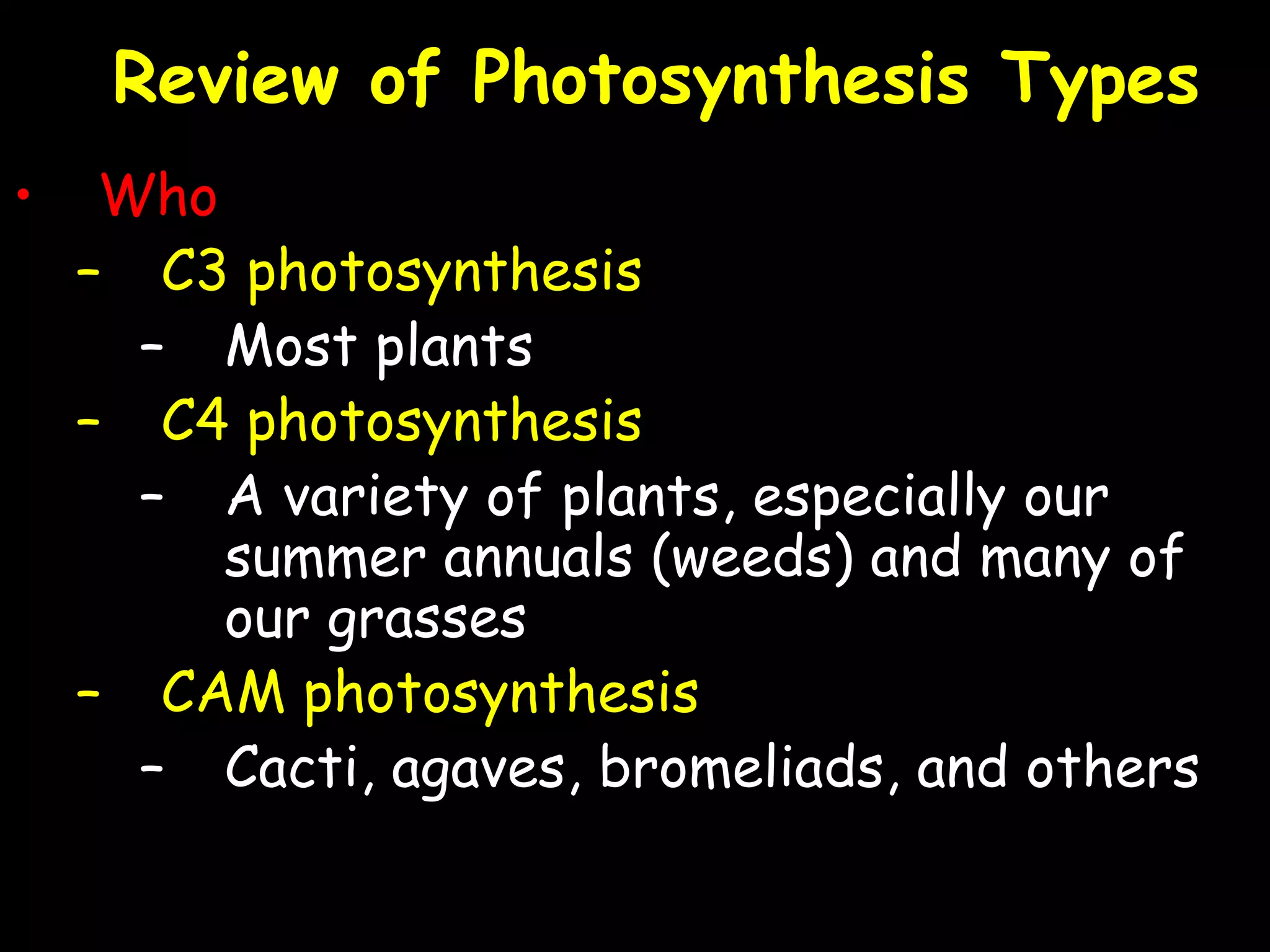 Typesof photosynthesis | PPT
