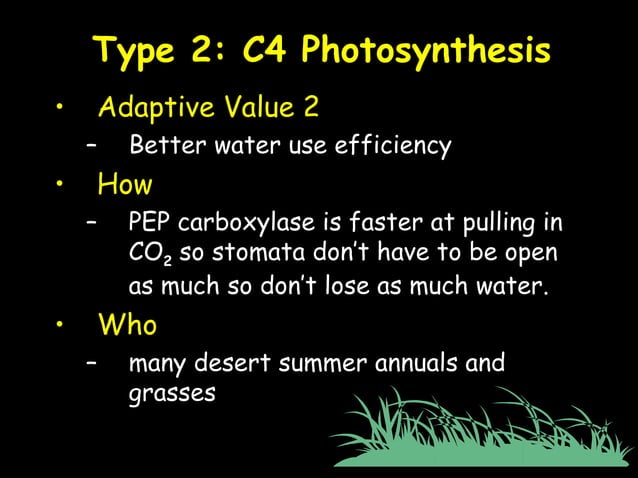 Typesof photosynthesis | PPT
