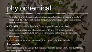 TYPES OF PHYTOCHEMICAL EXTRACTION.pptx