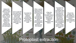 TYPES OF PHYTOCHEMICAL EXTRACTION.pptx