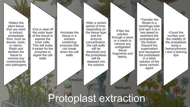 TYPES OF PHYTOCHEMICAL EXTRACTION.pptx | Gardening | Home & Garden