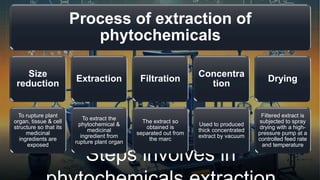 TYPES OF PHYTOCHEMICAL EXTRACTION.pptx
