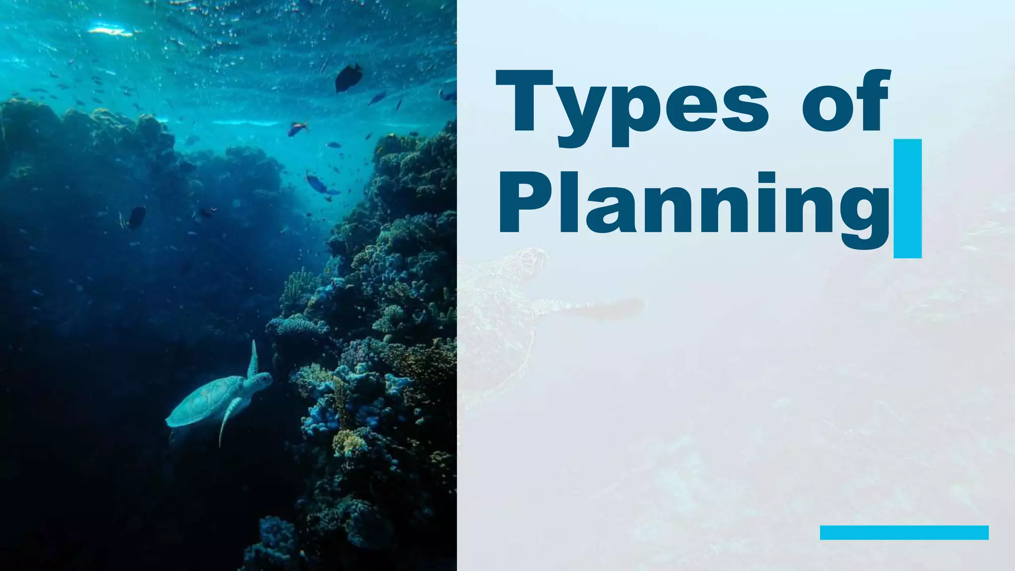 Types of Planning.pptx