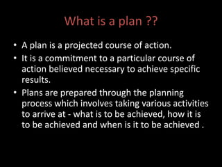 Types of Plans ( Management) | PPTX