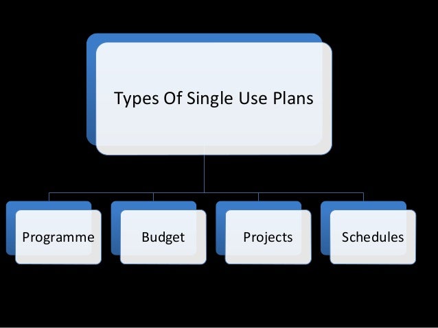 Types of Plans ( Management)