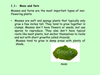 Types of plants | PPTX