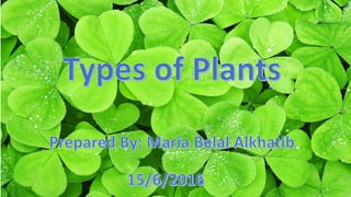 Types of plants | PPTX