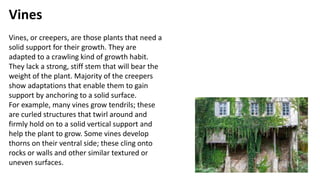 Types of plants | PPTX