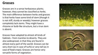 Types of plants | PPTX