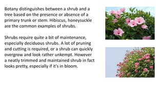 Types of plants | PPTX